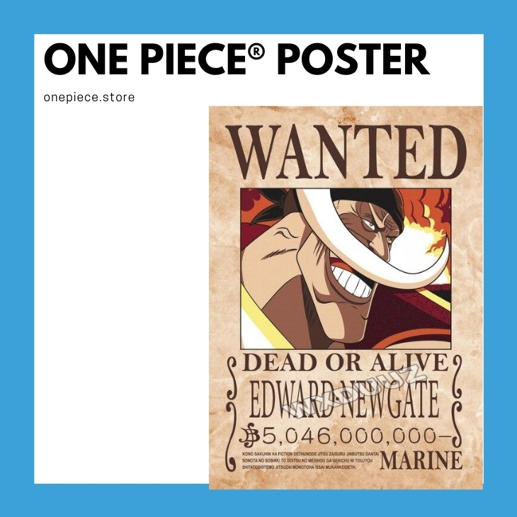 One Piece Posters New Release 2021